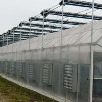 China Temporary Heating Arched Roof Film Greenhouse for Tomato and Cucumber Farming for sale