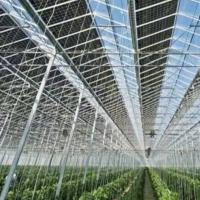 China US Hot DIP Galvanized Steel Multi Span Glass Greenhouse 50.00cm * 60.00cm * 80.00cm for sale