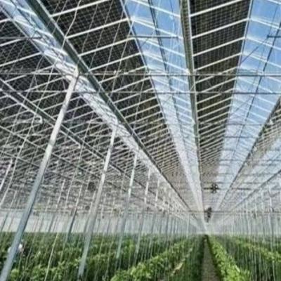 China US Hot DIP Galvanized Steel Multi Span Glass Greenhouse 50.00cm * 60.00cm * 80.00cm for sale