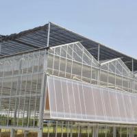 China US Hot DIP Galvanized Steel Multi Span Glass Greenhouse 50.00cm * 60.00cm * 80.00cm for sale