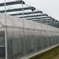 China 1209.00cm * 235.00cm * 239.00cm Film Cover Greenhouse for Tomato and Cucumber Growing for sale