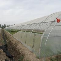 China 1209.00cm * 235.00cm * 239.00cm Film Cover Greenhouse for Tomato and Cucumber Growing for sale