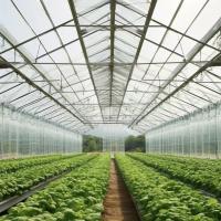 China Venlo Multi Span Glass Greenhouse with Shipping Cost and Estimated Delivery Time for sale