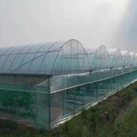 China Double-Arch Greenhouse for Tomato Cultivation Initial Payment and Soilless Culture for sale