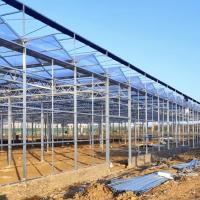 China Venlo Tempered Glass Greenhouse with Hydroponics Growing System Large and US Currency for sale