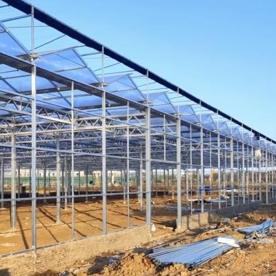 China Venlo Tempered Glass Greenhouse with Hydroponics Growing System Large and US Currency for sale