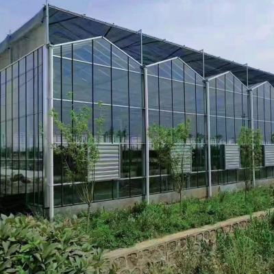 China JX-A0018 Glass Greenhouse for Tomato Cultivation 30 Day Return Refunds Durable Easy for sale