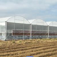 China Temporary Heating Film Greenhouse Vegetable and Flower Hydroponic System for Planting for sale