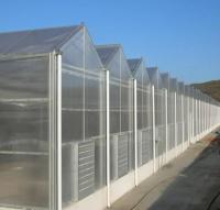 China Double-Arch Film Greenhouse for Cucumber Growth Multi-Span and Sturdy Film Cover for sale