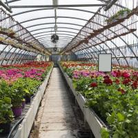 China Double-Arch Film Greenhouse for Cucumber Growth Multi-Span and Sturdy Film Cover for sale