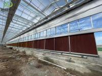 China Precise and Accurate Monitoring Hydroponic Seedling Greenhouse with Humidity Control for sale