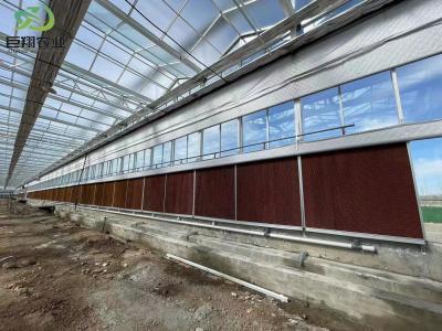 China Precise and Accurate Monitoring Hydroponic Seedling Greenhouse with Humidity Control for sale