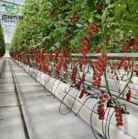 China Dual-Layer Greenhouse for Tomato Farming 20GP Package Size 12.09cm * 2.35cm * 2.39cm for sale