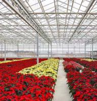 China Dual-Layer Greenhouse for Tomato Farming 20GP Package Size 12.09cm * 2.35cm * 2.39cm for sale