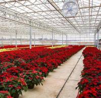 China JX-H0062 Customizable Size Hydroponic Cucumber Farming Greenhouse for Growing Cucumbers for sale