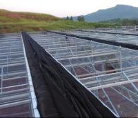 China 30-Day Return Fog Prevention System for Flower Production in Arched Roof Greenhouse for sale