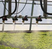 China 30-Day Return Fog Prevention System for Flower Production in Arched Roof Greenhouse for sale