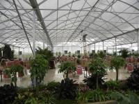 China Wet Curtain Hydroponic Seedling Greenhouse with Customization and Package Size Options for sale