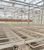 China Hydroponics Stromal Humidity Control Greenhouse with Arched Roof and Multi-Span Design for sale