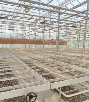 China Hydroponics Stromal Humidity Control Greenhouse with Arched Roof and Multi-Span Design for sale