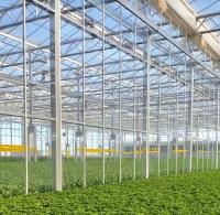 China Hydroponics Stromal Humidity Control Greenhouse with Arched Roof and Multi-Span Design for sale