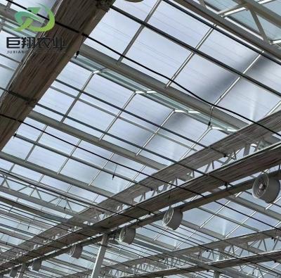 China State-of-the-Art Glasshouse Large Glass Covered Water Sprayer for Controlled Humidity for sale