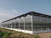China State-of-the-Art Glasshouse Large Glass Covered Water Sprayer for Controlled Humidity for sale