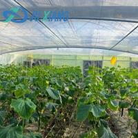 China Arched Roof Construction Double-Arch Greenhouse for Tomato and Pepper in US Currency for sale