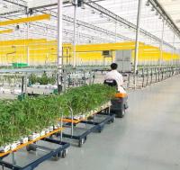 China Single or Multi Span Juxiang Dual-Layer Film Greenhouse for Flower Production Green for sale