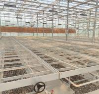 China Single or Multi Span Juxiang Dual-Layer Film Greenhouse for Flower Production Green for sale