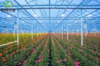China Outdoor Shading Glasshouse for Humidity Control in Commercial Greenhouse Production for sale