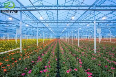 China Outdoor Shading Glasshouse for Humidity Control in Commercial Greenhouse Production for sale