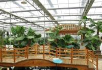 China Outdoor Shading Glasshouse for Humidity Control in Commercial Greenhouse Production for sale
