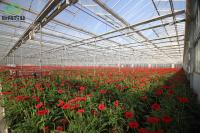 China Outdoor Shading Glasshouse for Humidity Control in Commercial Greenhouse Production for sale