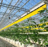 China Warm Air Blower/Hot Water Heating Double-Arch Hydroponics Greenhouse for Flower and Tomato for sale