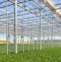 China Warm Air Blower/Hot Water Heating Double-Arch Hydroponics Greenhouse for Flower and Tomato for sale