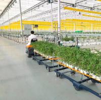China Warm Air Blower/Hot Water Heating Double-Arch Hydroponics Greenhouse for Flower and Tomato for sale
