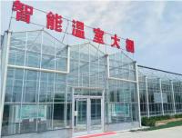 China Indoor Shading Hydroponic Seedling Facility with Large-Scale Capacity and Cultivation for sale