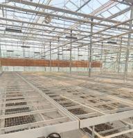 China Steel Structure Greenhouse for Pepper Production using Hydroponics Cultivation Method for sale
