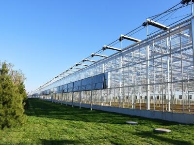 China Juxiang prime s Controlled Environment Greenhouse System within Building Materials for sale