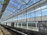 China Juxiang prime s Controlled Environment Greenhouse System within Building Materials for sale