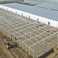 China JX-H0068 Anti-Drip Technology Greenhouse for Flower and Tomato Customization Offered for sale
