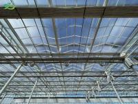 China Juxiang prime s Controlled Environment Greenhouse System within Building Materials for sale
