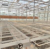 China -Made Hydroponic Greenhouse with Anti-Drip Technology Full Payment Growing Vegetables for sale