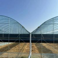 China -Made Hydroponic Greenhouse with Anti-Drip Technology Full Payment Growing Vegetables for sale