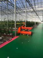 China Plastic Film Garden House with Humidity Control and Hydroponics/ Soilless Culture for sale