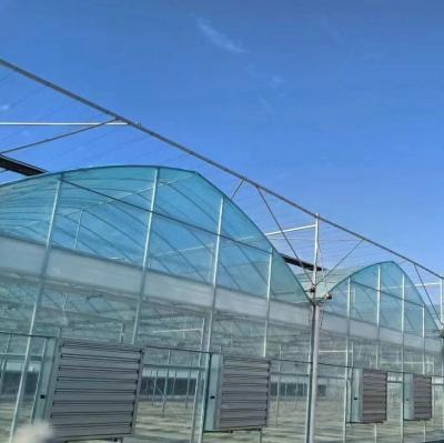 China Double-Arch Structure -Made Hydroponic Greenhouse for Mixed Farming Production Needs for sale