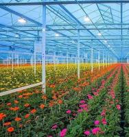 China Double-Arch Structure -Made Hydroponic Greenhouse for Mixed Farming Production Needs for sale