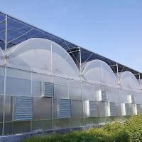 China Double-Arch Structure -Made Hydroponic Greenhouse for Mixed Farming Production Needs for sale