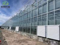 China Anti-Drip Glasshouse for Tomato Cucumber Lettuce 12.09cm * 2.35cm * 2.39cm Package Size for sale